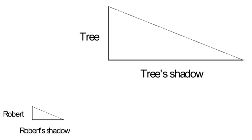 Park School Mathematics